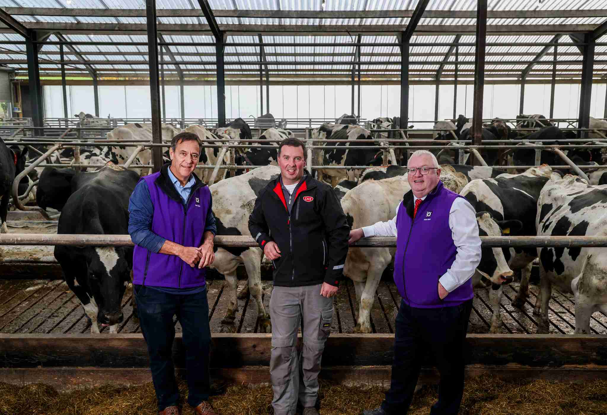 McCullagh Farm | Ulster Bank