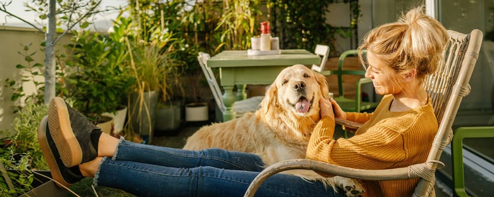 Credit Cards - Personal Banking | Ulster Bank